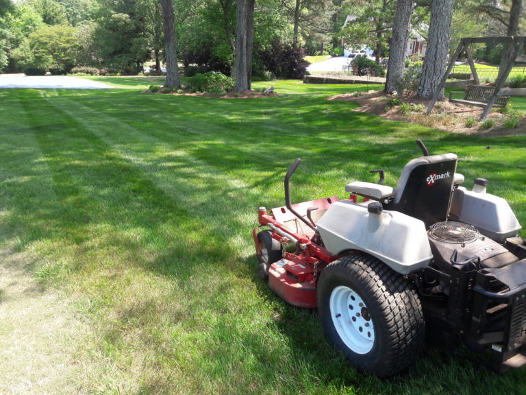 Yard King Lawn Care – Maintenance & Landscaping
